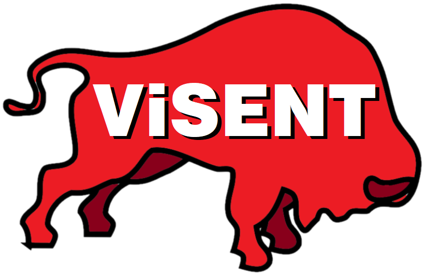 ViSENT